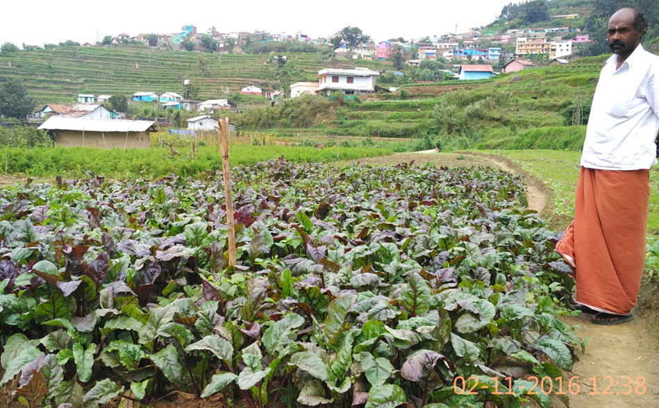 Our Story | Agronature