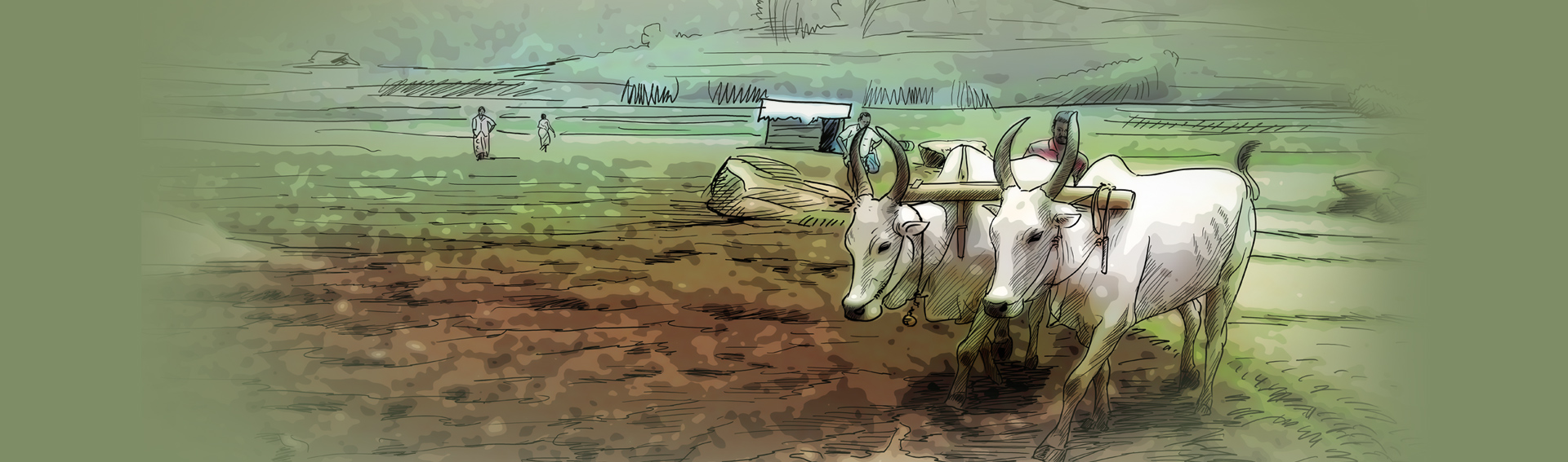 Notable Projects | Agronature